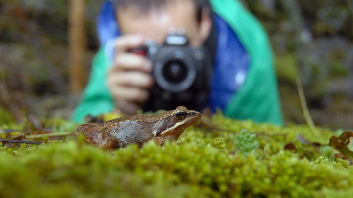 Naukowcy przypominają o etycznych zasadach fotografowania przyrody ...