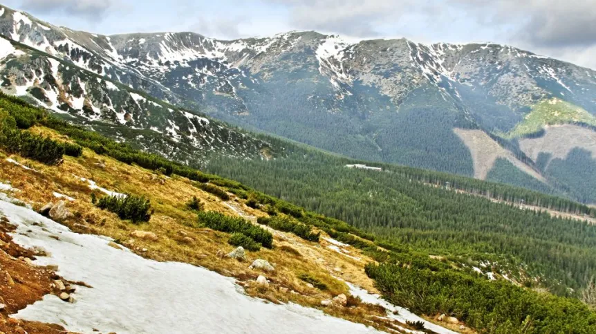 Wypiętrzanie gór stymuluje różnorodność gatunków | Nauka w Polsce